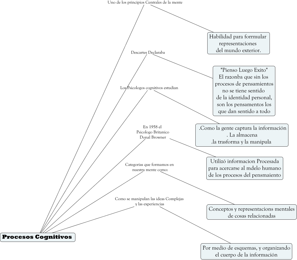procesos cognintivos video
